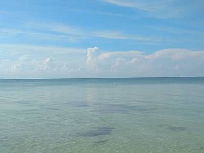 69.734 Acres of Forestry Land in Warree Bight/Sarteneja Sarteneja ...