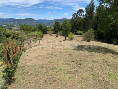 Lotes y Terrenos en Venta en Colombia - CENTURY 21