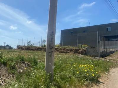 CENTURY 21 New Future - Tijuana